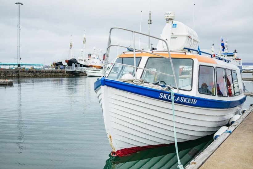 Reykjavik: Puffin Watching Boat Tour - Price and Value