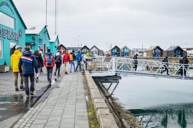 Reykjavik: Puffin Watching Boat Tour - Practical Tips for Travelers