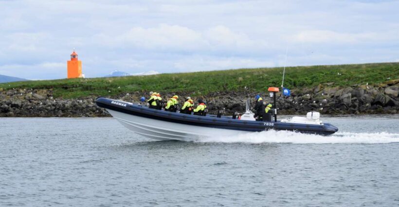 Reykjavik: Puffin Watching Tour by RIB Speedboat - The Sum Up