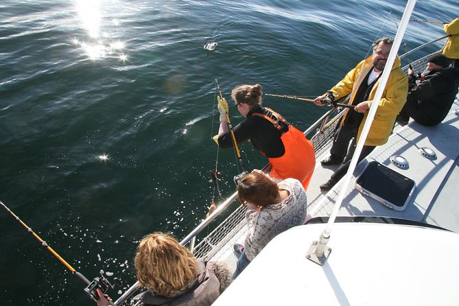 Reykjavik Sea Angling Gourmet - Tour Details and Inclusions