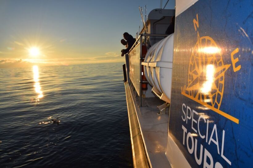 Reykjavik: Sea Fishing Boat Tour & BBQ with the Day's Catch - The Sum Up