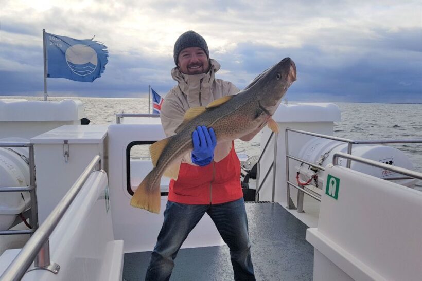 Reykjavik: Sea Fishing Boat Tour & BBQ with the Day's Catch - FAQ