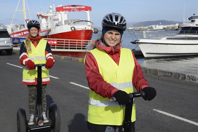 Reykjavik Segway Tour - Traveler Feedback and Ratings