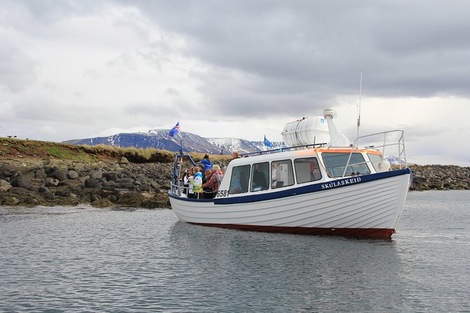 Reykjavik Shore Excursion: Puffin Sightseeing Cruise - Departure Locations and Meeting Points
