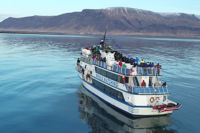 Reykjavik Shore Excursion: Whale-Watching Cruise - Preparing for Your Whale-Watching Adventure