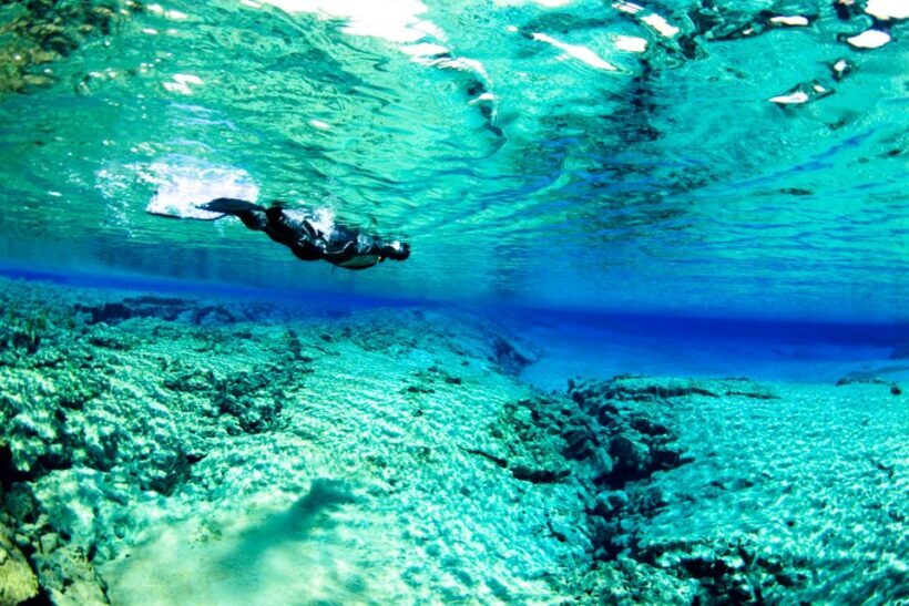 Reykjavík: Silfra Fissure Snorkeling and Lava Caving Tour - FAQ