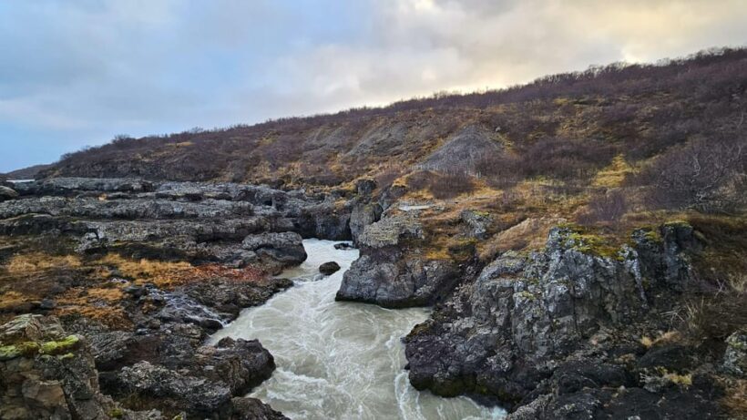 Reykjavik: Silver Circle of West Iceland Day Tour - Who Will Love This Tour?