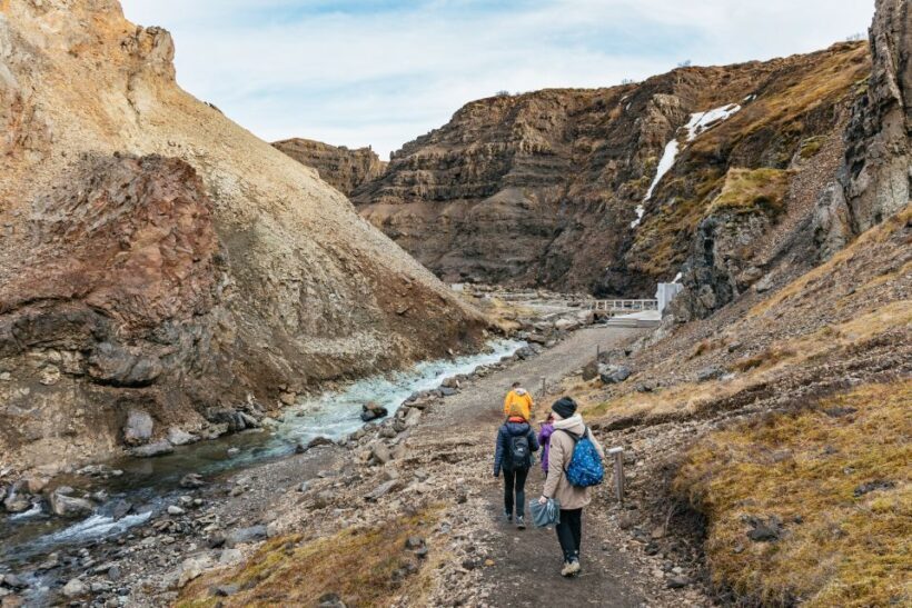 Reykjavik: Silver Circle Tour, Canyon Ride, & Thermal Baths - Who Would Love This Experience?
