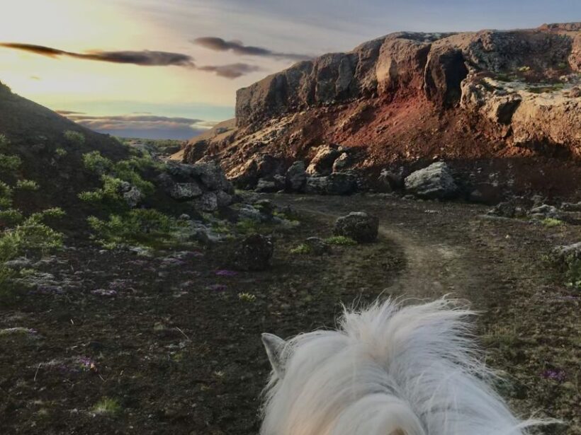 Reykjavik: Small-Group Horse Volcano Riding Tour with Pickup - Key Points
