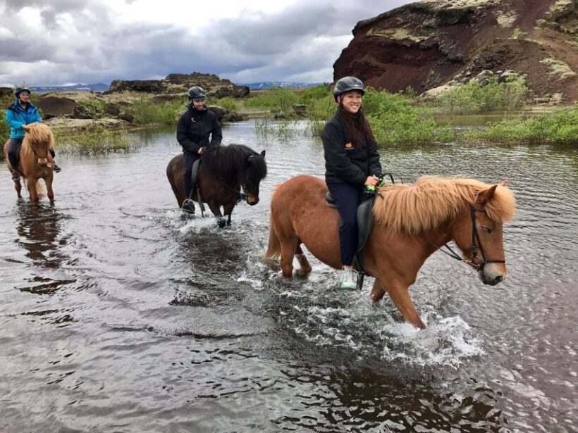 Reykjavik: Small-Group Horse Volcano Riding Tour with Pickup - A Deep Dive into the Itinerary
