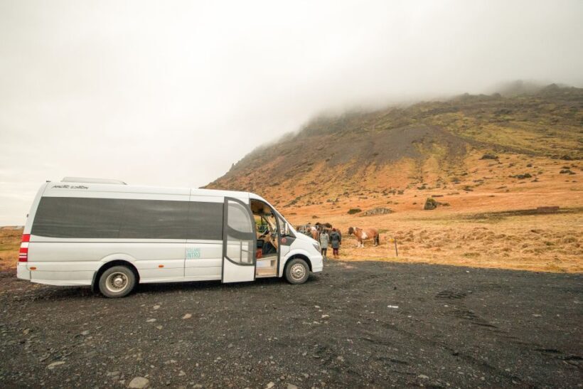 Reykjavik: Snaefellsnes & Mt. Kirkjufell Guided Minibus Tour - Authentic Experiences and Personal Touches