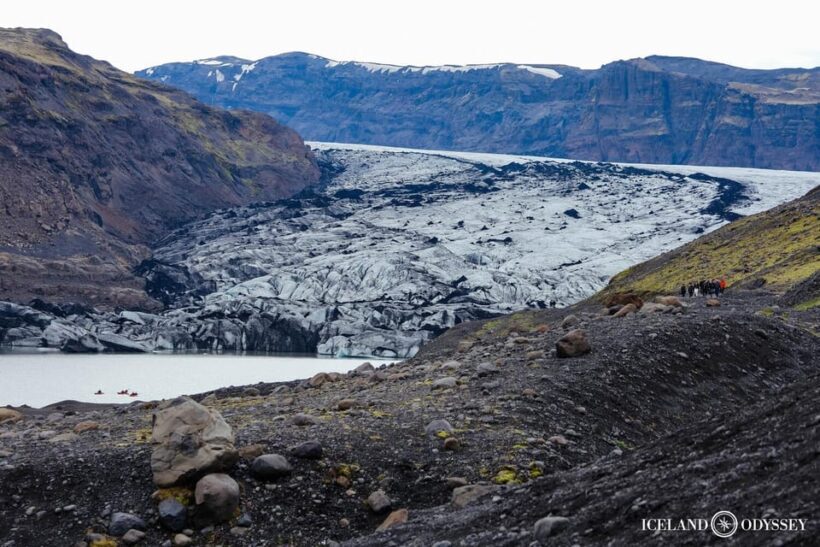 Reykjavik: South Coast, Waterfalls, Black Beach Private Tour - The Transportation Experience