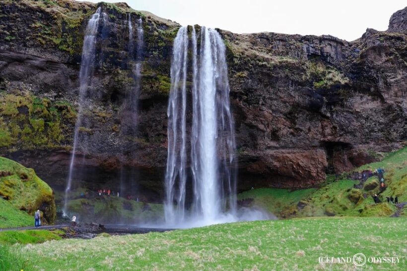Reykjavik: South Coast, Waterfalls, Black Beach Private Tour - Value Analysis