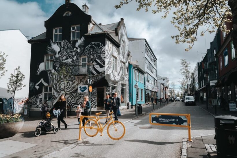 Reykjavik Street Art & Photo Friendly Walking Tour - The Experience: What to Expect on the Tour