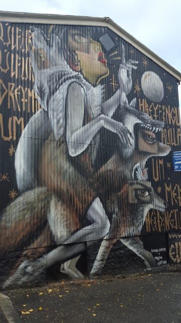 Reykjavik Street Art & Photo Friendly Walking Tour - Practical Details and Value
