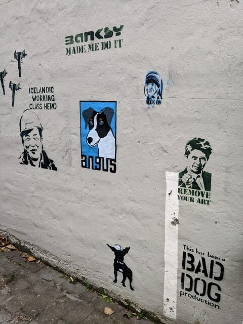 Reykjavik Street Art & Photo Friendly Walking Tour - Who Should Consider This Tour?