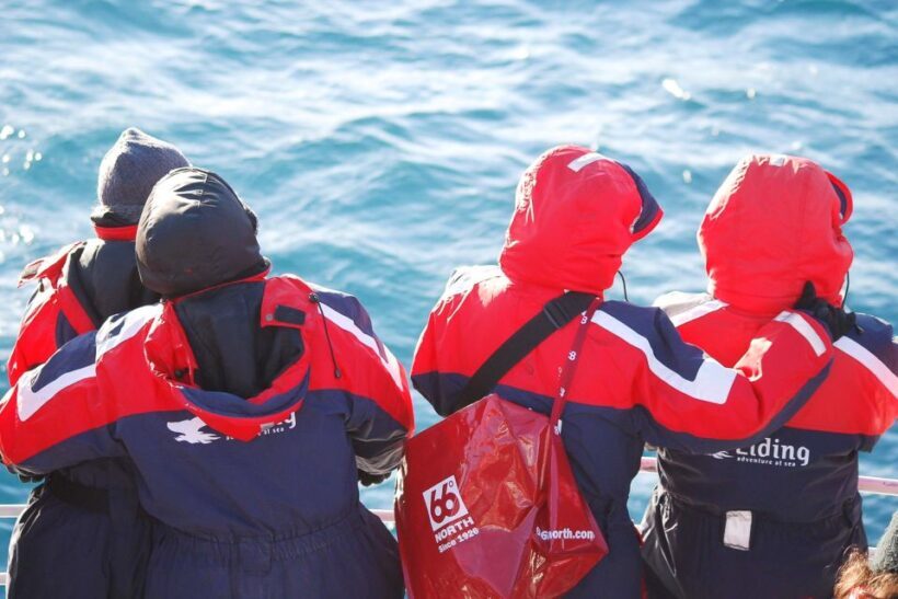 Reykjavik: the Original 3-Hour Whale Watching Tour - FAQ