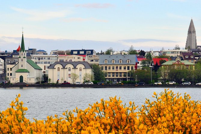 Reykjavik Walking Tour - Walk with a Viking - Practicalities & Tips