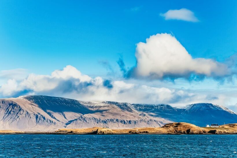 Reykjavík: Whale Watching and Marine Life Cruise - The Itinerary: What To Expect