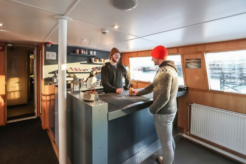 Reykjavík: Whale Watching and Marine Life Cruise - Authentic Encounters: What Travelers Say