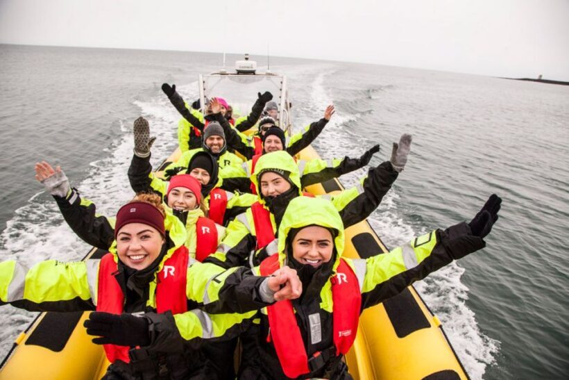 Reykjavik: Whale Watching by RIB Speedboat - Key Points