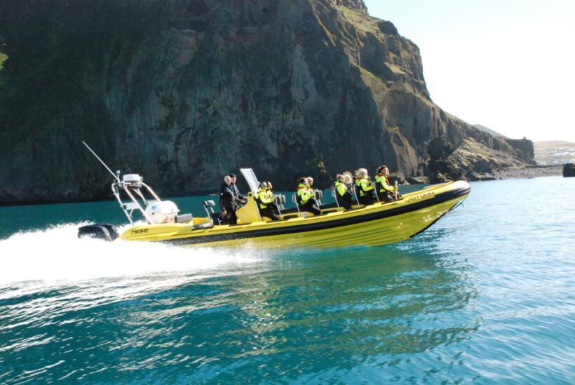 Reykjavik: Whale Watching by RIB Speedboat - Practical Considerations