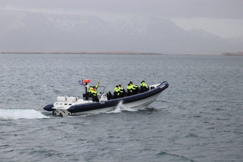 Reykjavik: Whale Watching Tour by RIB Boat - FAQ