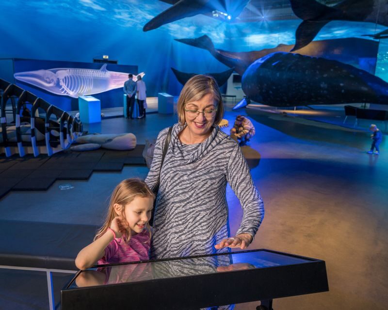 Reykjavik: Whale Watching Tour, Whales of Iceland Exhibition - The Itinerary: What to Expect on This Reykjavik Whale Tour