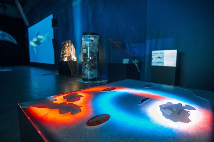Reykjavik: Whales of Iceland Museum Entrance Ticket - What You Can Expect at the Whales of Iceland Museum