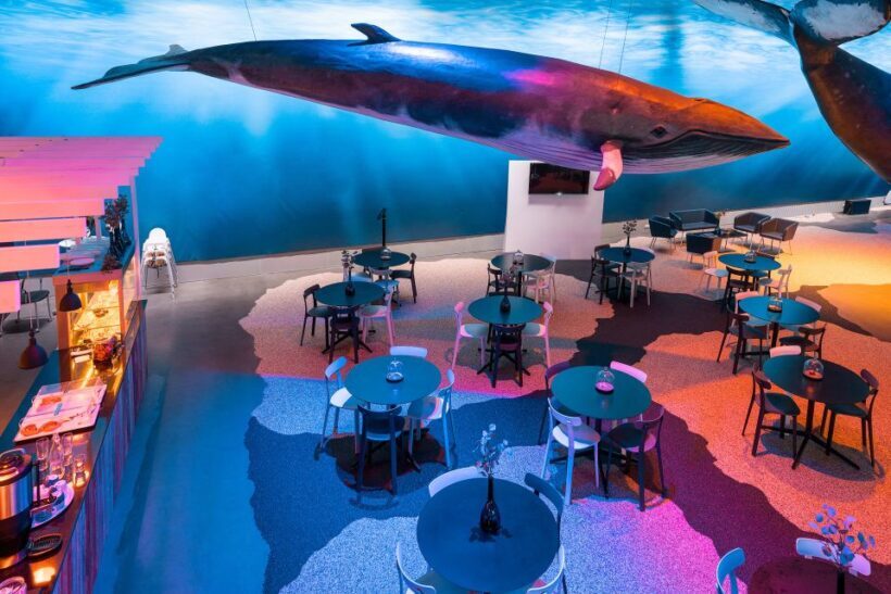 Reykjavik: Whales of Iceland Museum Entrance Ticket - The Sum Up