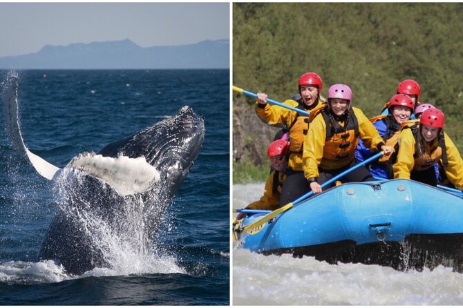 Reykjavik Whales & White Water Rafting Adventure - The Sum Up