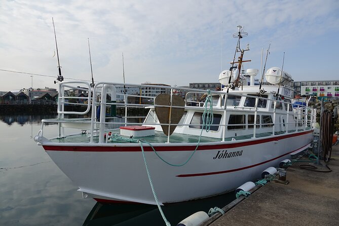 Reykjaviks Finest Catch: Guided Sea Angling Tour for All Levels - Family-Friendly Fishing Adventures