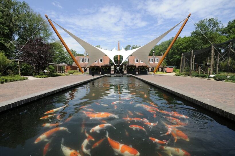 Rhenen: Ouwehands Zoo Entry Ticket - Rhenen: Ouwehands Zoo Entry Ticket — An Authentic Family Day Out in the Netherlands