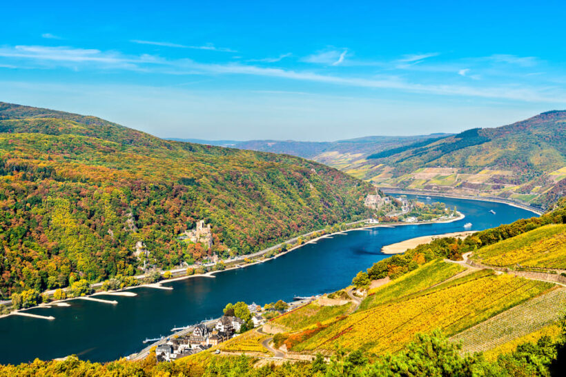 Rhine Valley Castles: 1.5-Hour Boat Tour from Rüdesheim - A Deep Dive into the Rhine Valley Boat Tour