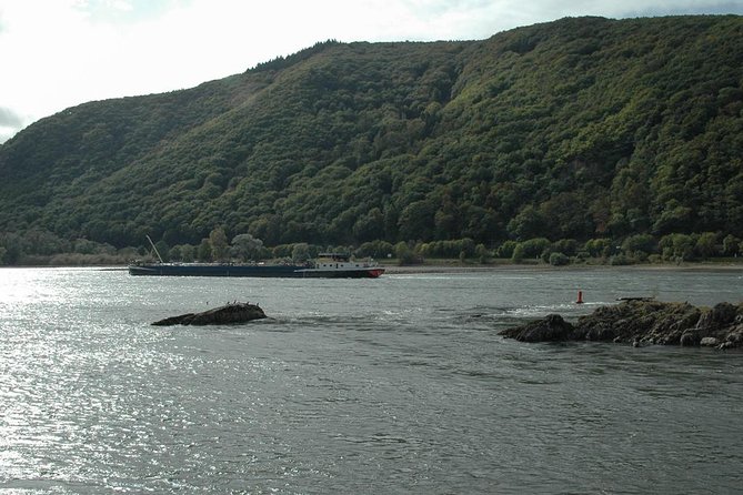 Rhine Valley Trip From Frankfurt Including Rhine River Cruise - Seasonal Considerations