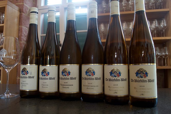 Rhine Valley Wine Tasting Tour From Frankfurt and Mainz - Exploration of Germanys Top Wine Regions