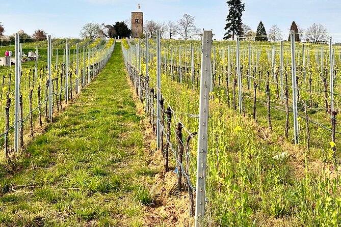 Rhine Valley Wine Tasting Tour From Frankfurt and Mainz - Indulging in Local Specialties