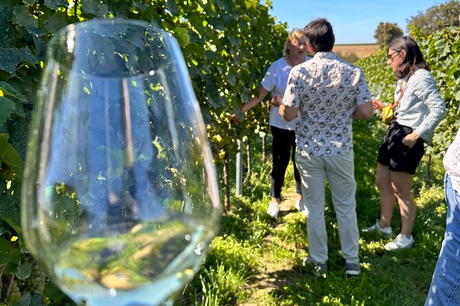 Rhine Valley Wine Tasting Tour From Frankfurt and Mainz - Transportation and Meeting Details