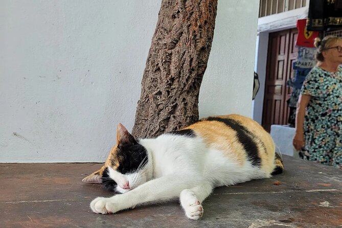 Rhodes Airport: One-way Private Luxury Transfer from Airport - Who Should Consider This Service?