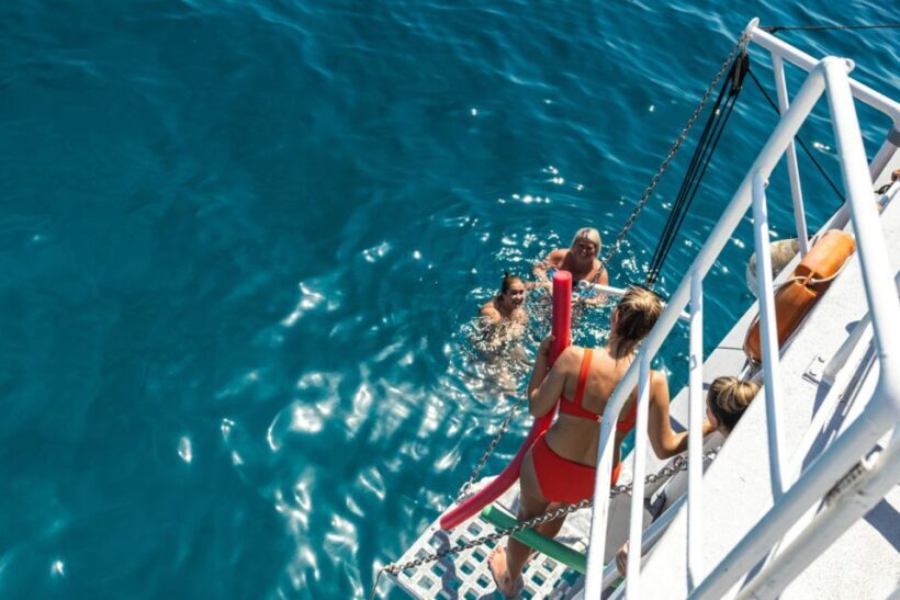 Rhodes: Bay to Bay Swim Cruise with Greek Buffet and Wine - The Practical Side: What You Need to Know