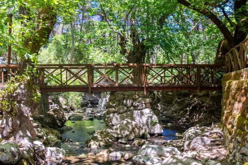Rhodes: Butterfly Valley and Filerimos Hill Bus Trip - FAQ