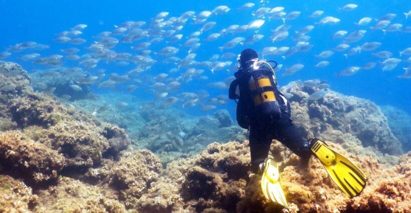 Rhodes: Diving Adventure for Beginners and Experts - Who Will Love This?