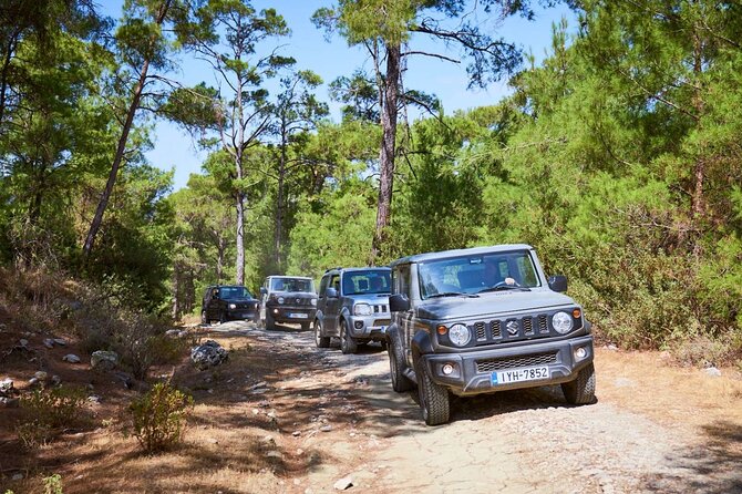 Rhodes Explorer Self-Drive Expedition and Culinary Odyssey - Who Will Love This Tour?