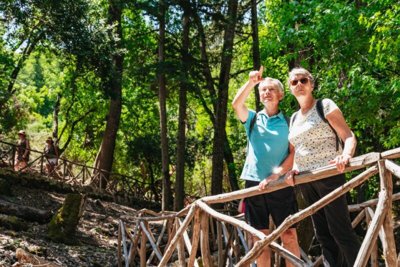 Rhodes: Filerimos Hill and Butterfly Valley Bus Trip - Who Is This Tour Best For?