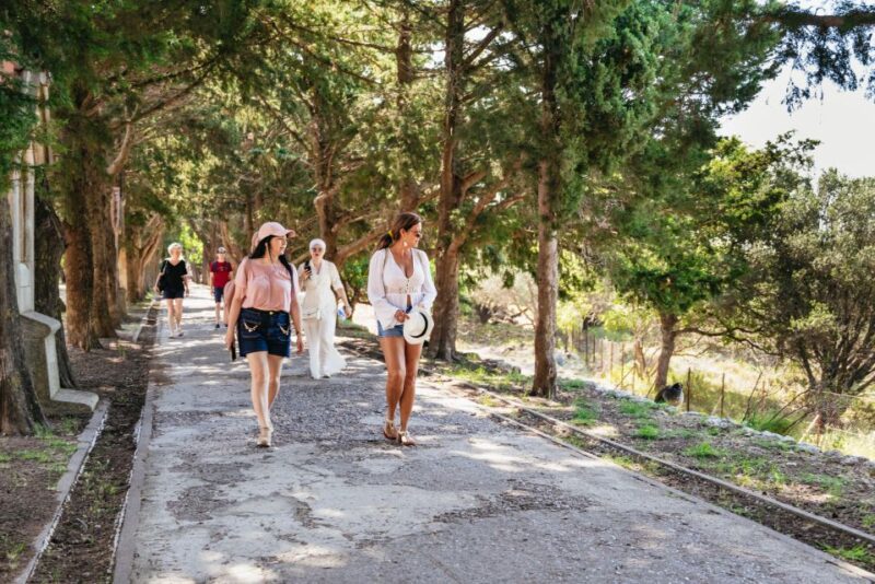 Rhodes: Filerimos Hill and Butterfly Valley Bus Trip - Frequently Asked Questions