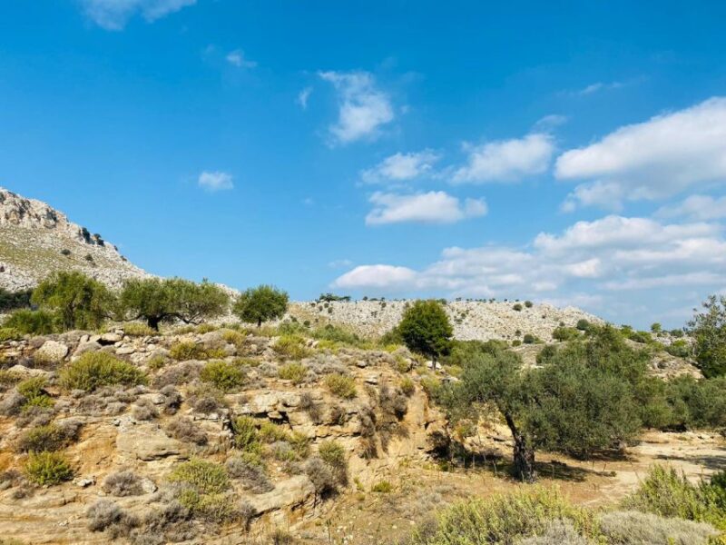 Rhodes: Guided Hike to 7 springs from Archangelos - An In-Depth Look at the Rhodian Wilderness