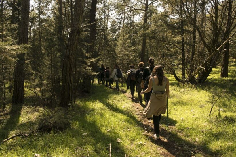 Rhodes: Hiking Tour to the Summit of Akramitis with Photos - The Value of the Tour