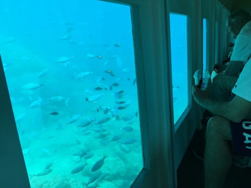 Rhodes: Hop-on Hop-off Bus and Submarine Tour - Practical Tips for Travelers