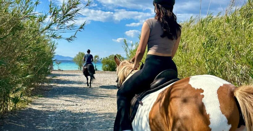 Rhodes: Horseback Riding Trip with Digital Photos - Setting the Scene: What to Expect on This Horseback Adventure