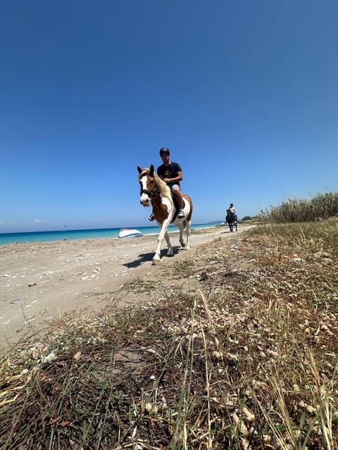 Rhodes: Horseback Riding Trip with Digital Photos - Who Will Love This Tour?